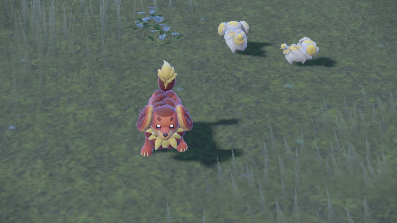 Fidough Evolution Guide: Stats, Moves, Type, And Location - Cheat Code ...
