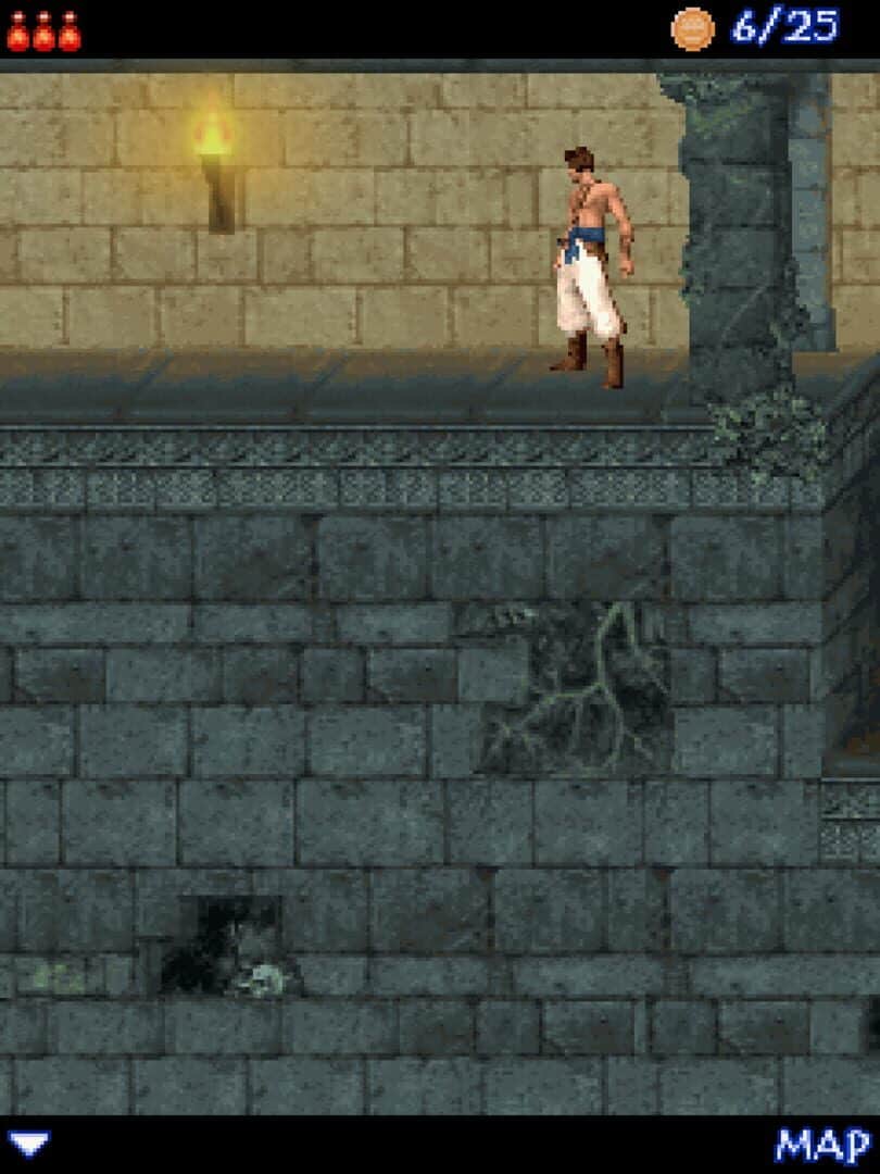 Prince of Persia Classic Reviews, Cheats, Tips, and Tricks - Cheat Code ...