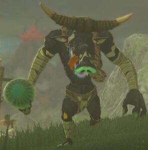 The Legend of Zelda: Tears of the Kingdom - All Enemies - Cheat Code ...